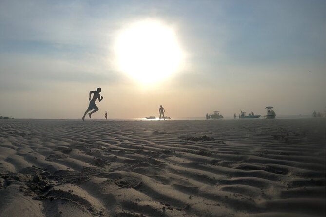 Sandbar Snorkel in the backcountry of Key West - Key Points