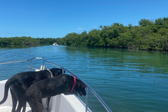 Sandbar Snorkel in the backcountry of Key West - Marine Life and Scenery