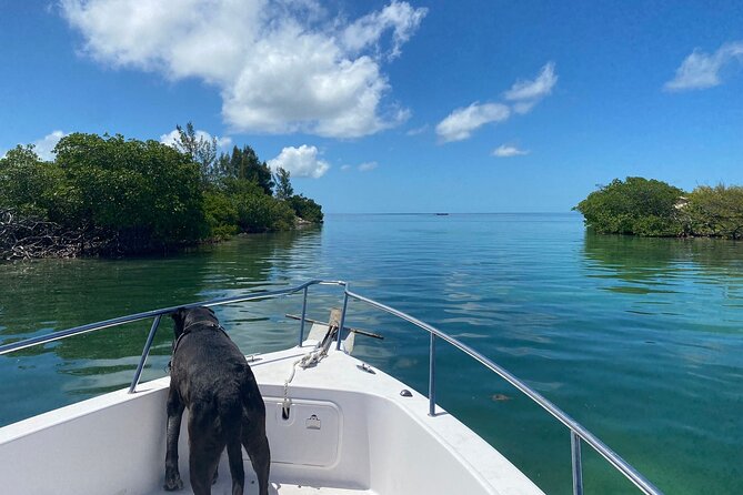 Sandbar Snorkel in the backcountry of Key West - The Value Proposition: Price, Equipment, and Experience