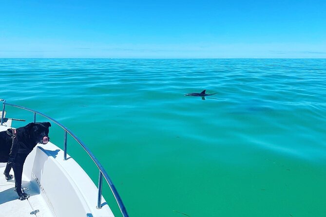 Sandbar Snorkel in the backcountry of Key West - Additional Details That Matter