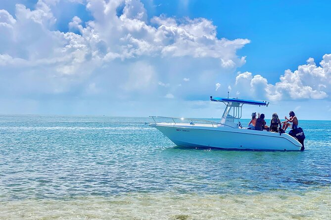 Sandbar Snorkel in the backcountry of Key West - Authentic Feedback and Experiences
