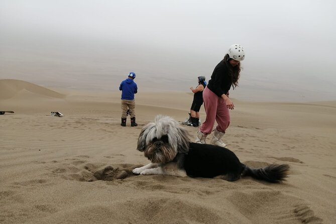 Sandboarding Experiance in Lima - Private Tour Options and Group Size