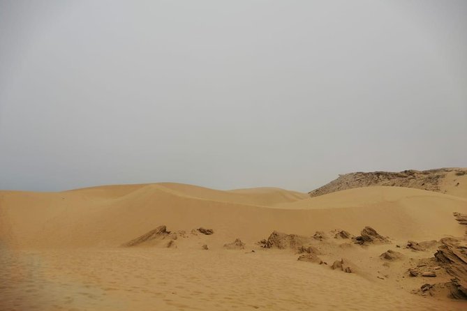 Sandboarding Guided Experience From Agadir - Meeting and Pickup Logistics