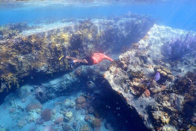 Sandboarding & Snorkeling at the Dominican desert - Overview of the Tour Experience