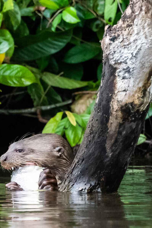 Sandoval Lake Full Day - A Closer Look at the Itinerary