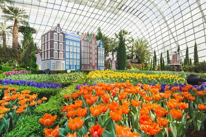 SandsSkyPark+GardensbytheBay(FlowerDome&Jurassic World)Transfers - Sands SkyPark: A View from Above