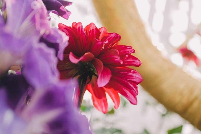 SandsSkyPark+GardensbytheBay(FlowerDome&Jurassic World)Transfers - Transportation and Logistics