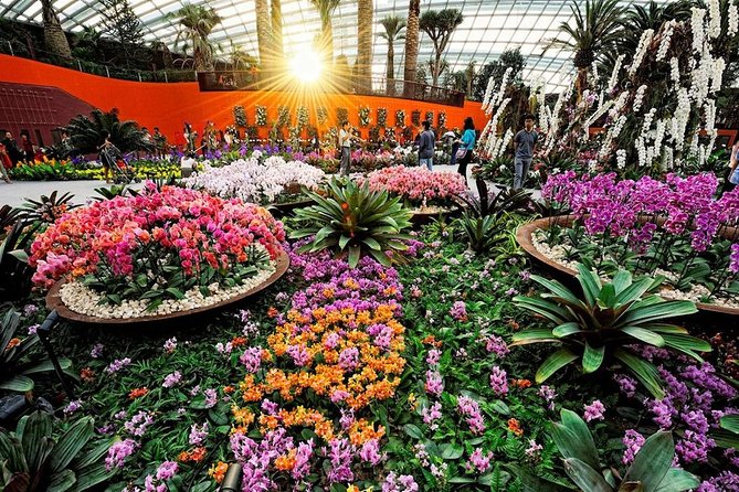 SandsSkyPark+GardensbytheBay(FlowerDome&Jurassic World)Transfers - The Review Spectrum: What Past Travelers Say