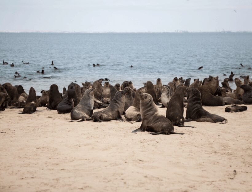 Sandwich Harbour Full Day 4x4 Adventure - Why This Tour Offers Great Value