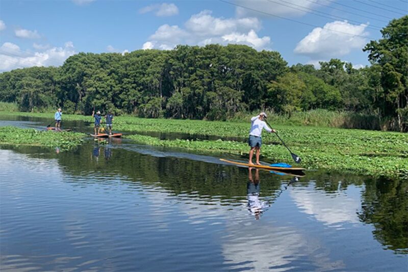 Sanford: Guided SUP or Kayak Manatee-Watching Tour - Introduction