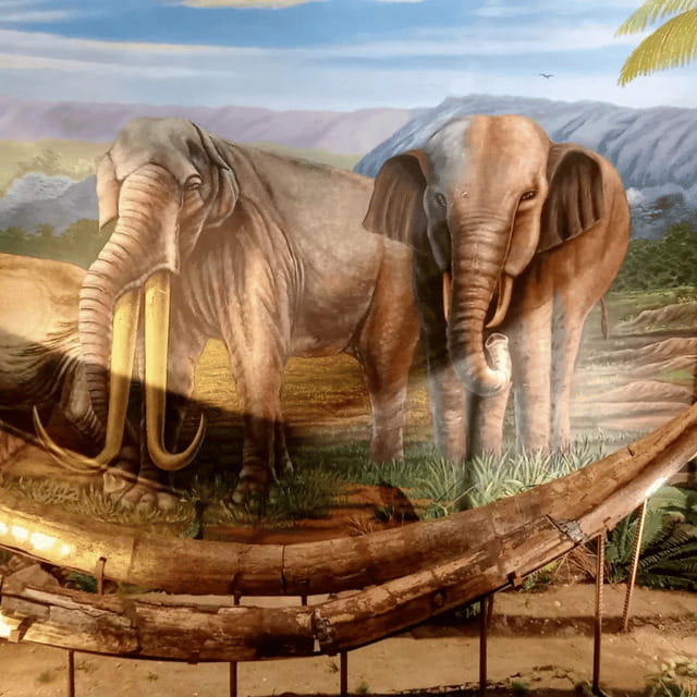 Sangiran Museum-UNESCO (Homeland of Java Man) - The Journey from Yogyakarta or Surakarta