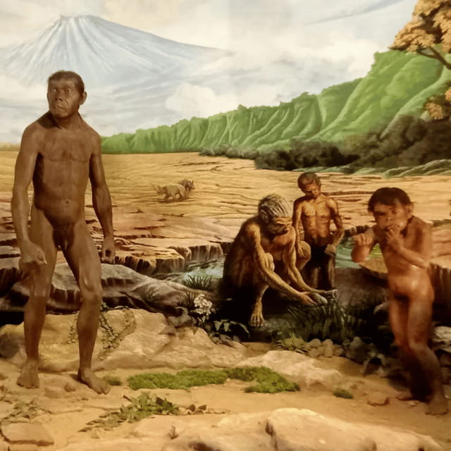 Sangiran Museum-UNESCO (Homeland of Java Man) - Prambanan Temple: A Majestic Optional Addition