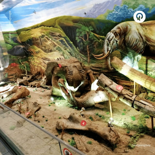 Sangiran Museum-UNESCO (Homeland of Java Man) - Practical Details and Tips