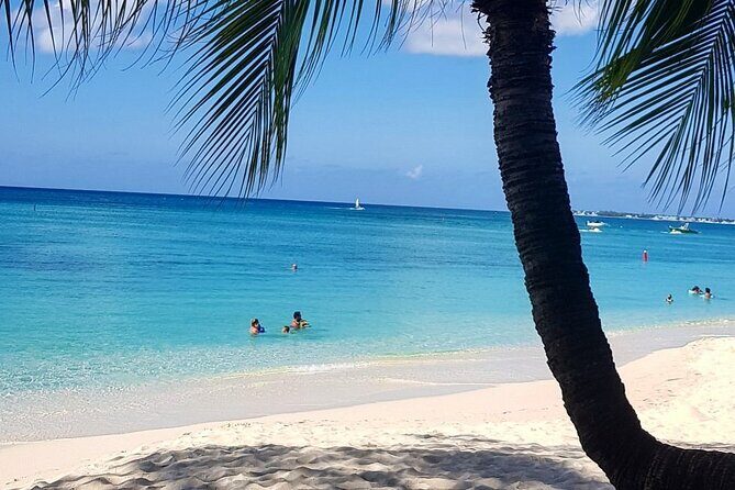 Sangster International Airport to Negril Tree House Resort - The Sum Up