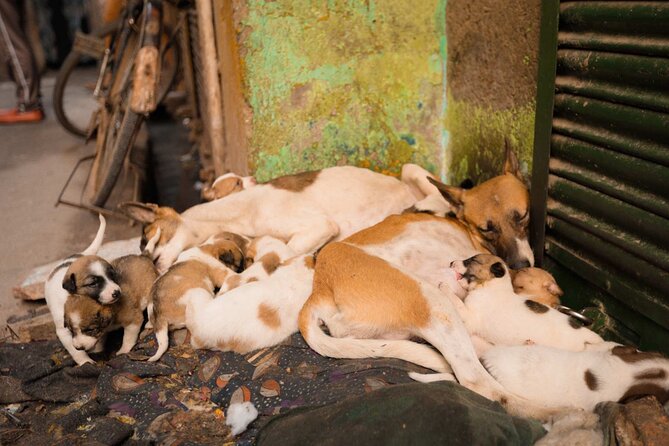 Sanjay Colony Slum Tour - Who Would Love This Tour?