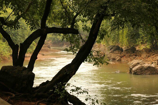 Sanjay Gandhi National Park and Kanheri Caves Guided Tour - What You’ll Love About This Tour