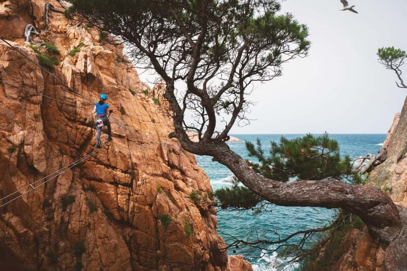Sant Feliu de Guíxols: Guided tour of the Cala del Molí Via Ferrata - An In-Depth Look at the Cala del Molí Via Ferrata Experience