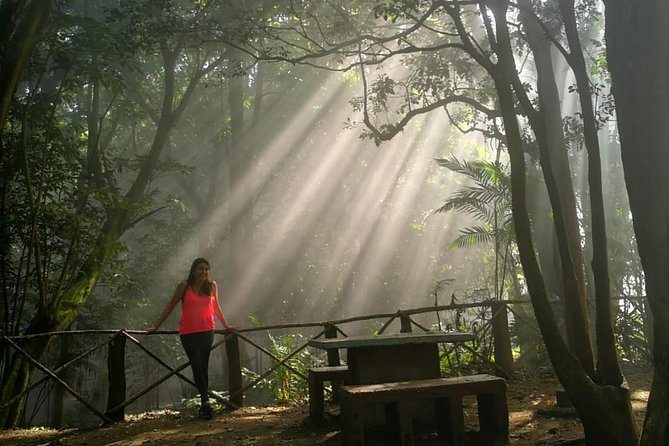 Santa Ana Volcano and Lake - An Unforgettable Journey - Hiking Through the Diverse Landscapes