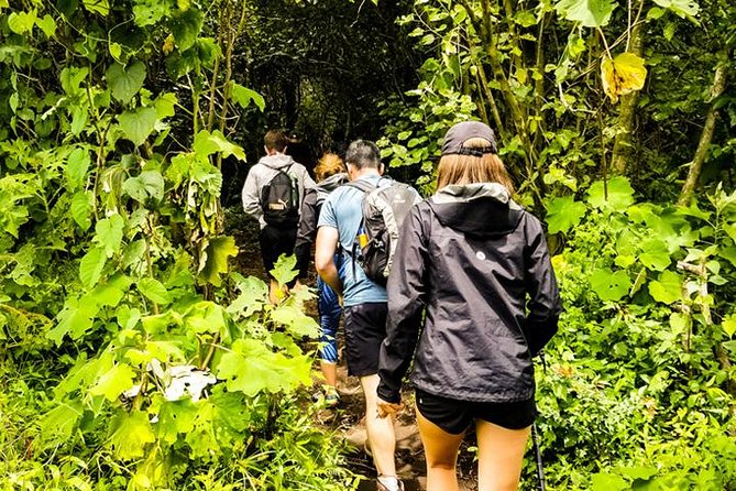 Santa Ana Volcano Hike Tour From Surf City - Exploring the Santa Ana Volcano