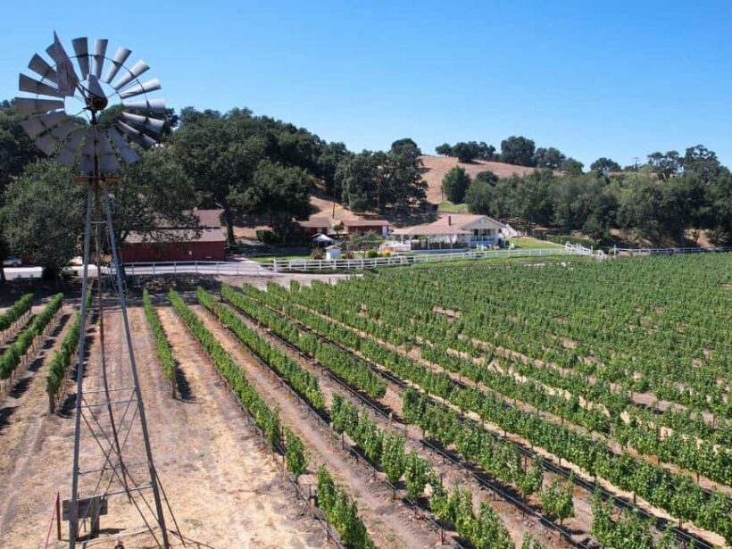 Santa Barbara: 3-Winery Tour Includes Tastings & Lunch inSYV - FAQs
