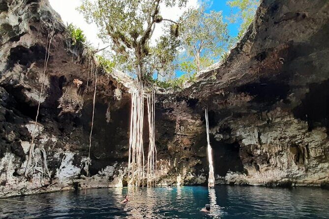 Santa Barbara 4 Cenotes and Bicycles with Lunch from Mérida - Transportation, Timing, and Group Size