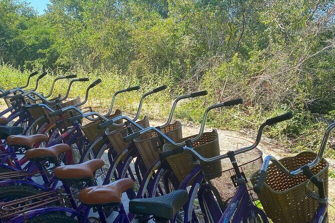 Santa Barbara 4 Cenotes and Bicycles with Lunch from Mérida - The Sum Up