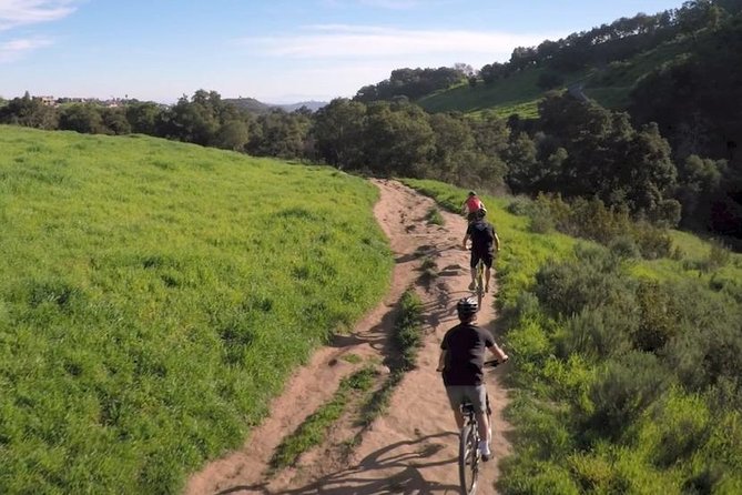 Santa Barbara Bike Rentals: Electric, Mountain or Hybrid - Rental Options: Hybrid Bikes
