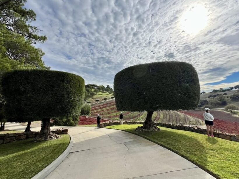Santa Barbara: E-bike wine tour w/ transport, tasting, lunch - FAQ