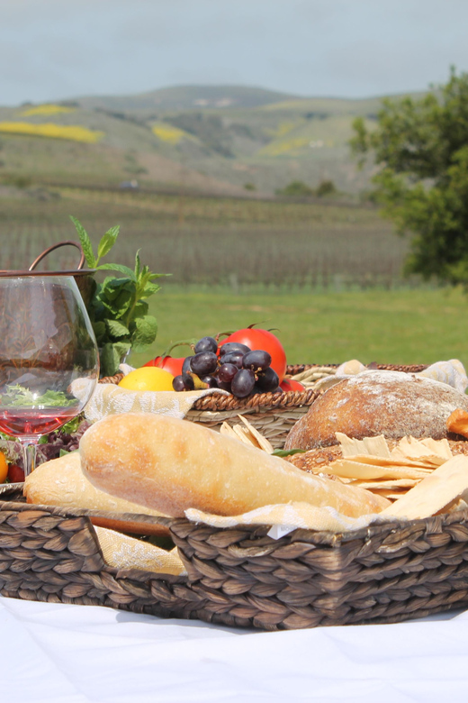 Santa Barbara: E-bike wine tour w/ transport, tasting, lunch - Key Points