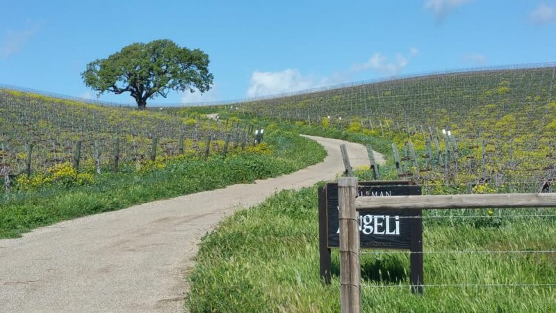 Santa Barbara: E-bike wine tour w/ transport, tasting, lunch - Practical Tips