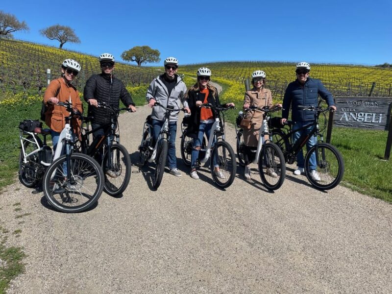 Santa Barbara: E-bike wine tour w/ transport, tasting, lunch - Who Will Enjoy This Tour?