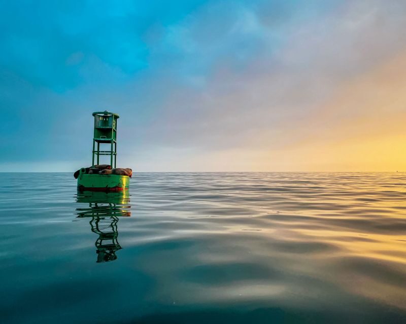 Santa Barbara Harbor: Sunset Kayak Tour (2 Hours) - A Close Look at the Experience