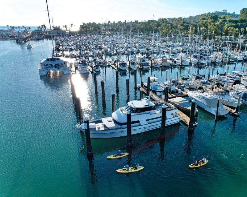 Santa Barbara Harbor: Wildlife Kayak Tour (2 Hours) - What to Expect on the Santa Barbara Wildlife Kayak Tour