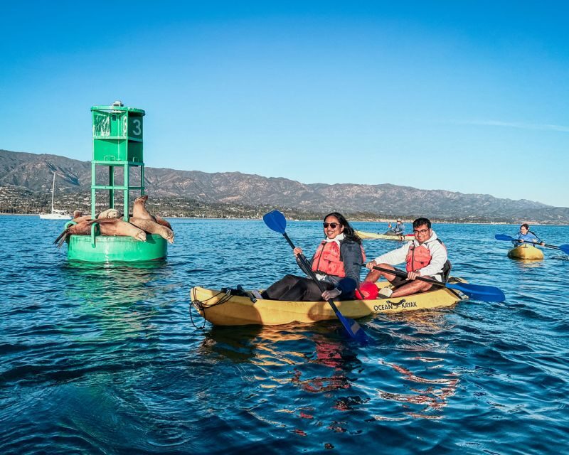 Santa Barbara Harbor: Wildlife Kayak Tour (2 Hours) - The Itinerary in Detail