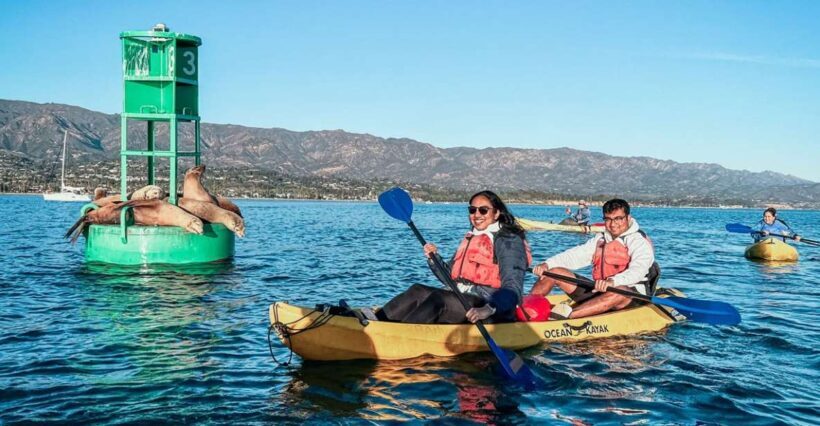 Santa Barbara Harbor: Wildlife Kayak Tour (2 Hours) - Who Will Love This Tour?