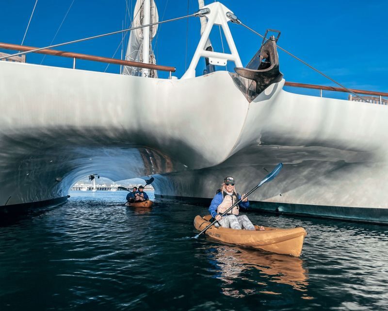 Santa Barbara Harbor: Wildlife Kayak Tour (2 Hours) - Final Thoughts: Is It Worth It?