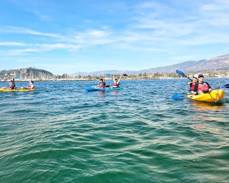 Santa Barbara Harbor: Wildlife Kayak Tour (2 Hours) - FAQs