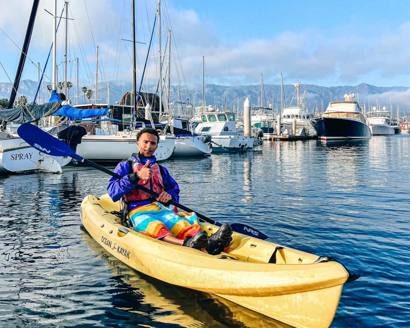 Santa Barbara Harbor: Wildlife Kayak Tour (2 Hours) - What to Expect from the Santa Barbara Wildlife Kayak Tour