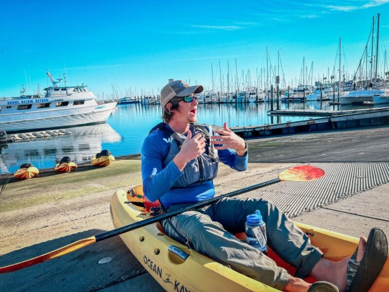 Santa Barbara Harbor: Wildlife Kayak Tour (2 Hours) - The Sum Up: The Perfect Intro to Santa Barbara’s Coastal Beauty