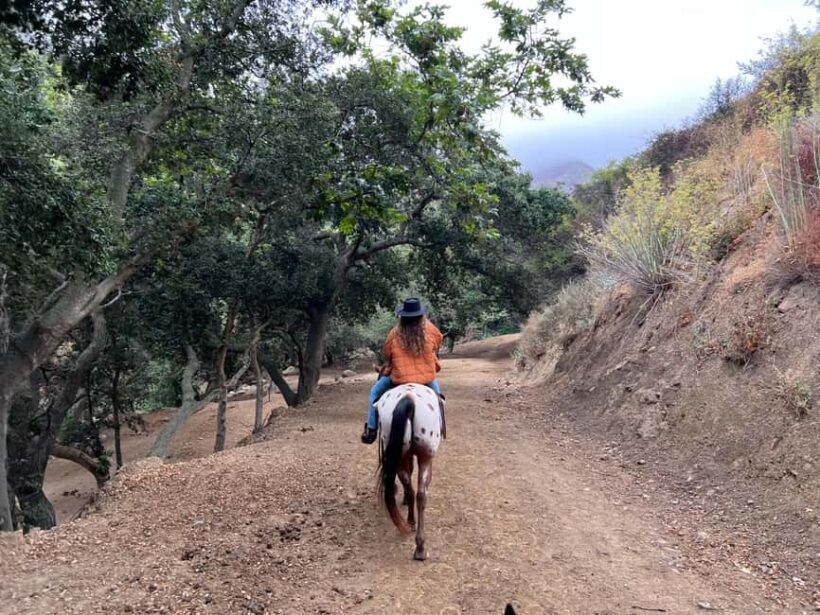Santa Barbara: Horseback Riding and Wine Tasting Tour - An In-Depth Look at the Santa Barbara Horseback & Wine Tour