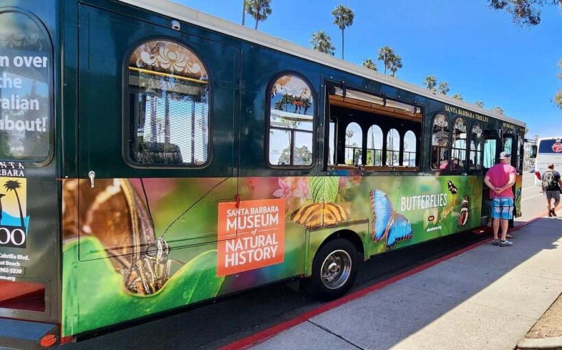 Santa Barbara: Trolley Tour - Santa Barbara: Trolley Tour – A Practical Guide to Exploring the California Coast