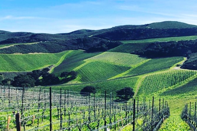 Santa Barbara Wine Country Tour - Booking Information and Policies