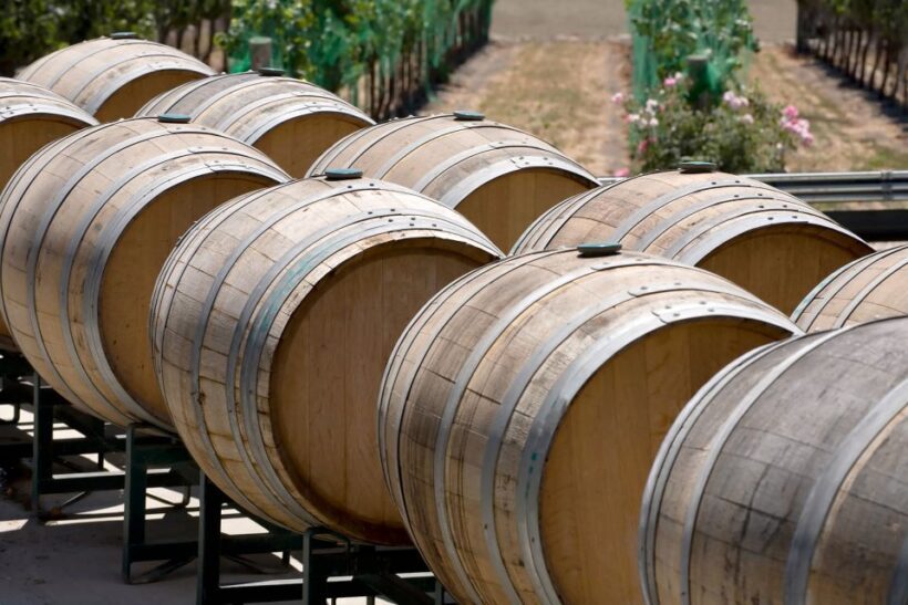 Santa Barbara: Wine Country Tour with Lunch - An Authentic Look at Santa Barbara’s Wine Region