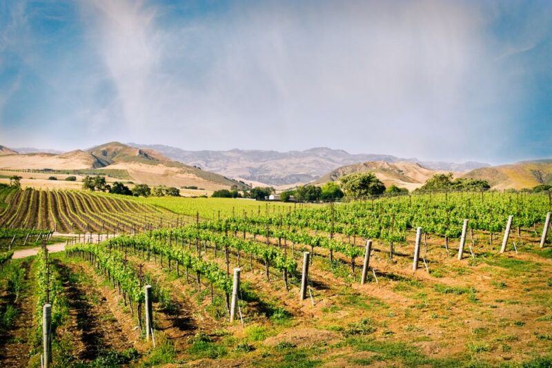Santa Barbara: Wine Country Tour with Lunch - Key Points