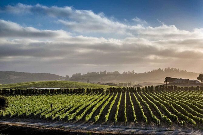 Santa Barbara Wine Country Vineyard & Village Tour - Frequently Asked Questions