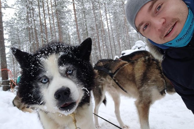 Santa Claus Village Guided Tour & Arctic Animals Adventure - Whats Included in the Tour