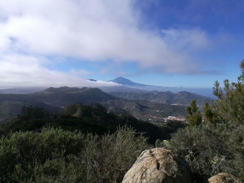 Santa Cruz de Tenerife: 2-Hour Hiking Tour in Anaga Forest - The Itinerary: What to Expect on the Trail