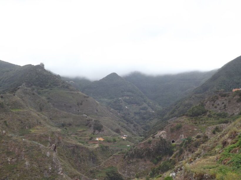 Santa Cruz de Tenerife: 2-Hour Hiking Tour in Anaga Forest - The Experience in Context: Who Will Enjoy This?