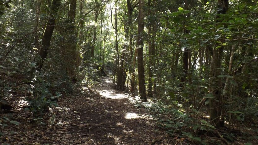 Santa Cruz de Tenerife: 2-Hour Hiking Tour in Anaga Forest - Final Thoughts