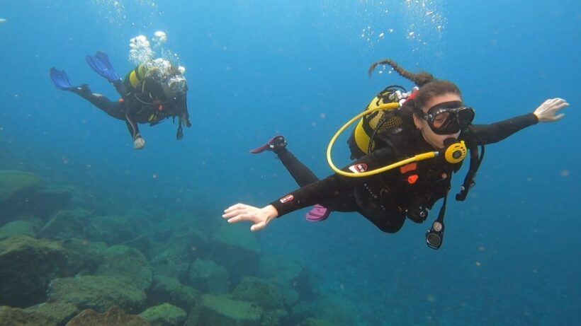 Santa Cruz de Tenerife: Advanced introductory course - What Makes This Tour Stand Out?